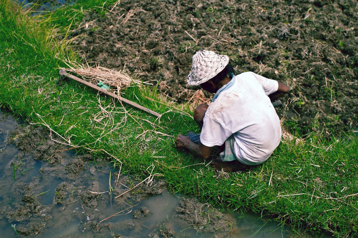 Helping Bali’s poor | Centre for Case Learning and Excellence